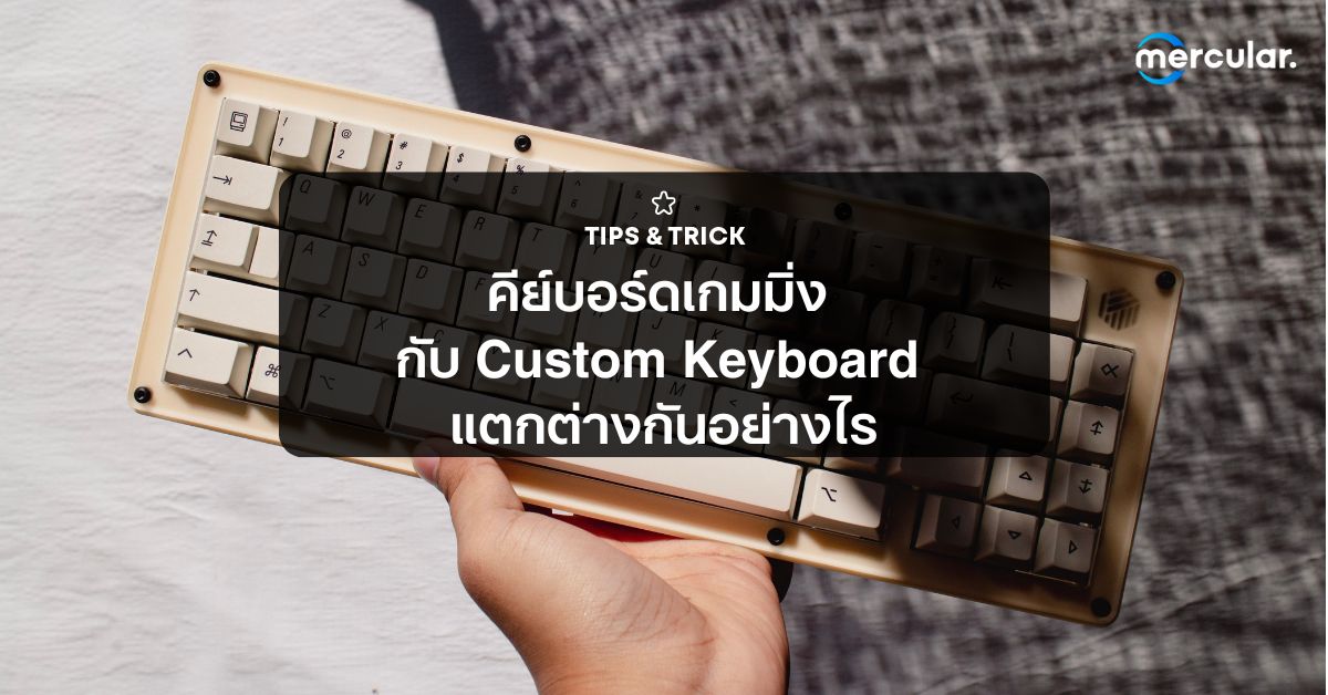 Barebone Keyboard คีย์บอร์ด Custom คัสตอมง่าย เสียงไพเราะ ไม่ผิดหวัง